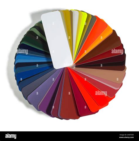 Guida Ai Colori Grafico A Colori Guide Ai Colori Grafici A Colori