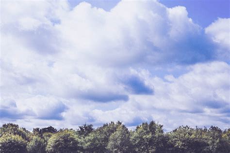Free Images Landscape Tree Nature Forest Grass Horizon Mountain