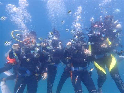 필리핀 세부 패키지 여행 사보이호텔 수영장 체험다이빙 츄비츄비 네이버 블로그