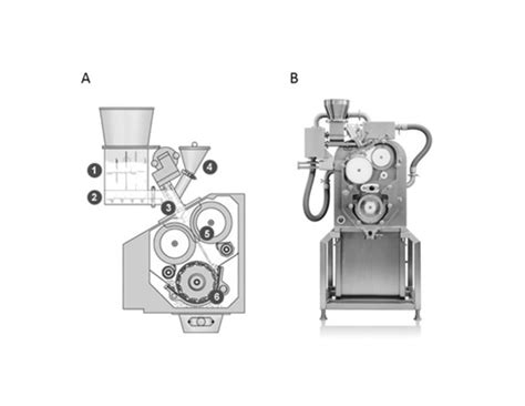 Granule Properties And The Influence Of Roller Compaction Parameters