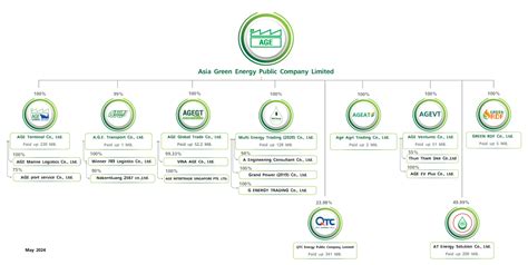 The Companys Group Structure บริษัท เอเชีย กรีน เอนเนอจี จำกัด มหาชน