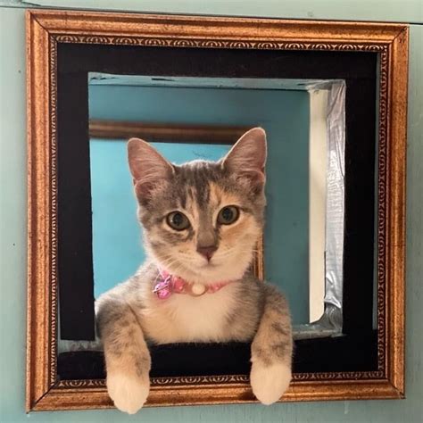 Meet Cindy Pennington Canvasrebel Magazine