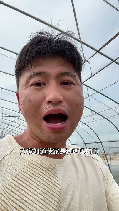 返乡创业青年 熱門 Youtube