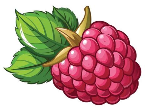 Raspberry Cartoon Vector Art Icons And Graphics For Free Download