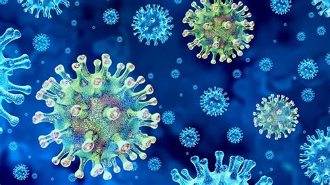 მოსწავლეზე ორიენტირებული სწავლებისთვის შეუძლია ვირუსს გამოიწვიოს დიაბეტი Mastsavlebeli Ge