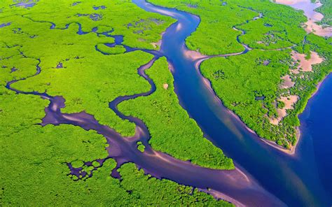 아마존 강 맹그로브 숲 조감도 브라질 Bing 5k시사