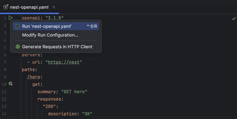 Openapi Webstorm Documentation