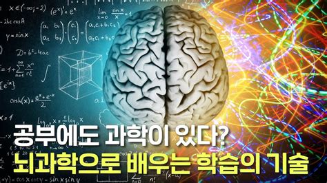 뇌과학으로 배우는 학습의 기술 학습에도 과학이 있다고 Youtube