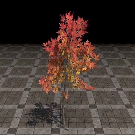 Online Sapling Young Autumn Maple Uesp Wiki The Unofficial Elder Scrolls Pages