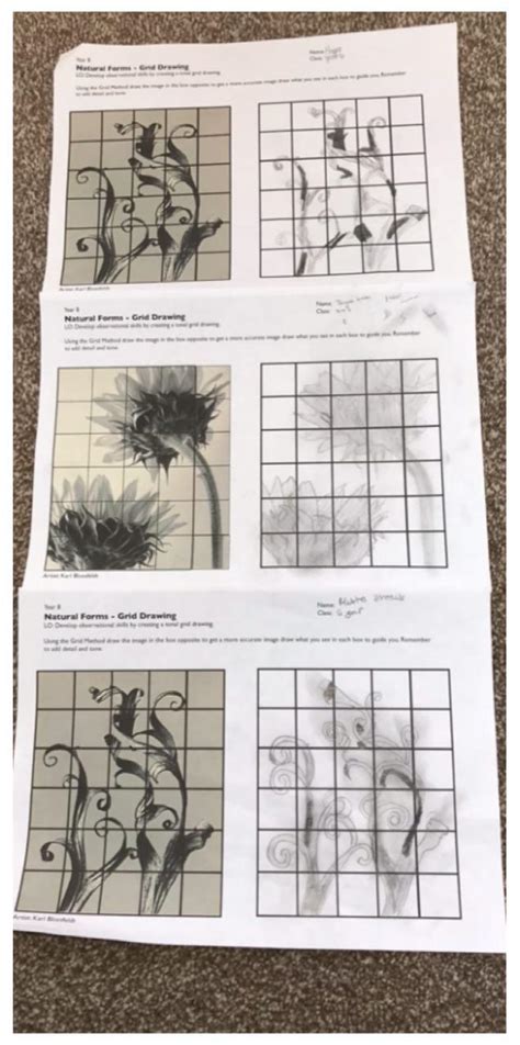 Grid Drawing Method In Art The Tuition Club