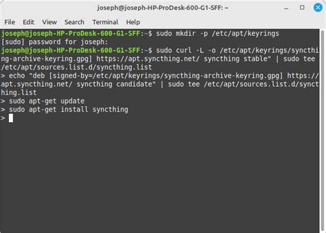 Cant Start Syncthing Linux Mint Support Syncthing Community Forum