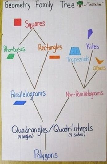 Classify 2 D Mrs Kopari 5th Grade Los Paseos Elementary