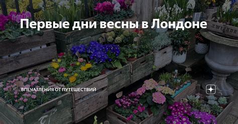 Первые дни весны в Лондоне Впечатления от путешествий Дзен