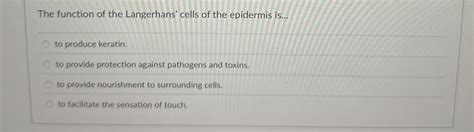Solved The Function Of The Langerhans Cells Of The