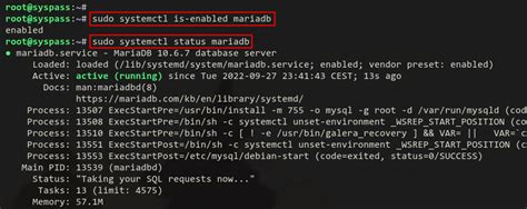 how to install syspass password manager on ubuntu 22 04 vitux