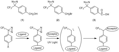 Cross Linkers Containing Photoreactive Diazirine Group Tokyo Chemical