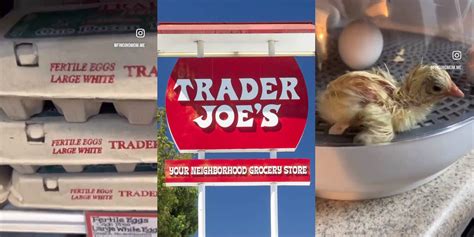Customer Hatches Eggs From Trader Joes