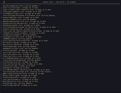 Packer Stuck Indefinitely When Trying To Sync R Neovim