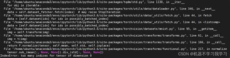 【bug】pytorch Dataloader “indexerror Too Many Indices For Tensor Of