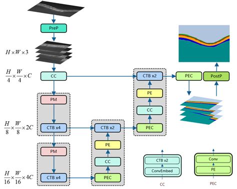 Bioengineering Free Full Text Cts Net A Segmentation Network For Glaucoma Optical Coherence