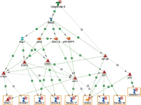 Analysis Of Transcriptomic And Proteomic Data In Immune Mediated