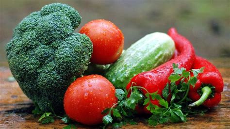 Сборник учи децата на здравословно хранене Новини бг