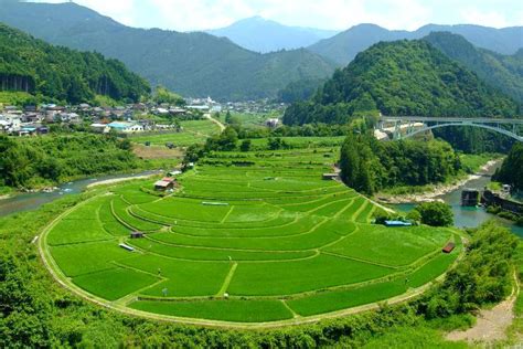 日本の写真集 デジタル楽しみ村和歌山県有田川町 棚田あらぎ島の風景