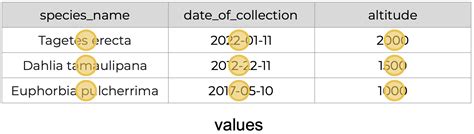 Tidy Data NCEAS Learning Hubs CoreR Course