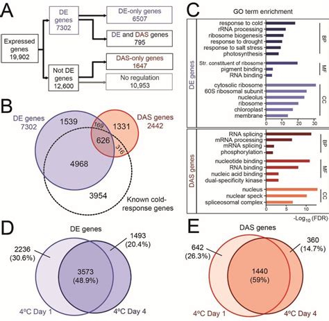 differential expression de and differential alternative splicing download scientific diagram