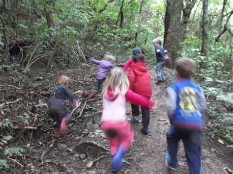 Bush Sprouts In Schools Bush Sprouts Nature School