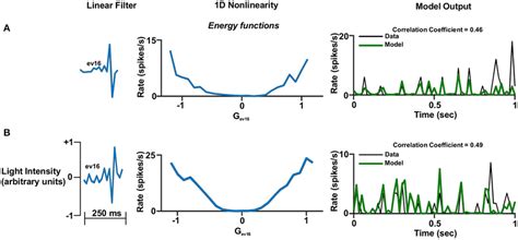 one dimensional linear non linear model a b one dimensional linear