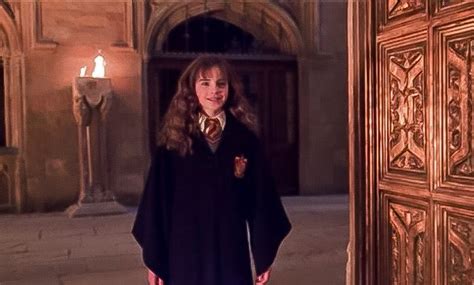 Harry Potter And The Chamber Of Secrets Hermione Granger At The End
