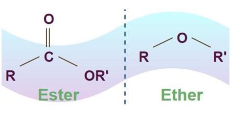 Ester Functional Group Examples