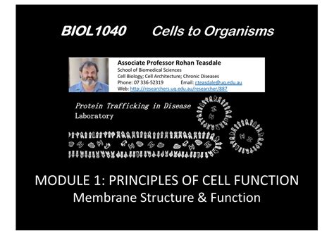 Biol1040 Mod 1 Module 1 Lecture Biol1040 Cells To Organisms Module 1 Principles Of Cell