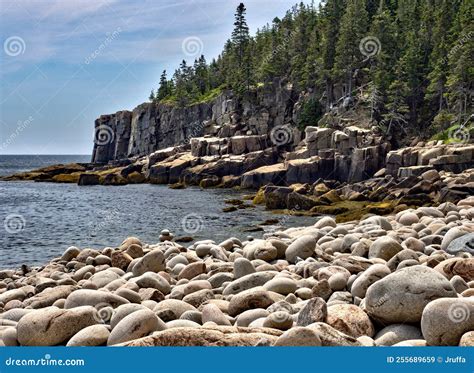 Rugged Maine Coastline In Acadia National Park Stock Image Image Of