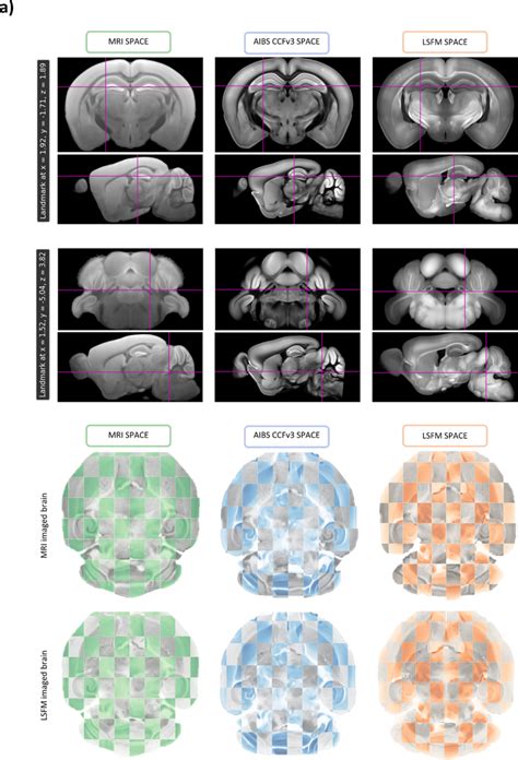 Correspondence Of The Coordinate System And Accuracy Of Deformation Download Scientific Diagram