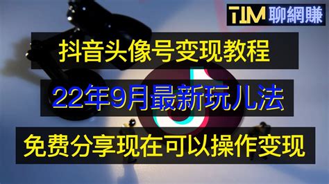 网赚项目免费抖音头像变现零基础训练营无需露脸抖音蓝海项目福利视频抖音最新玩儿法知识付费网络赚钱网赚实战网赚教程2022副业