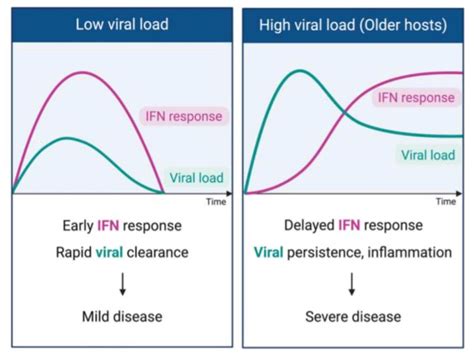 Type I And Type Iii Interferons Induction Signaling Evasion And