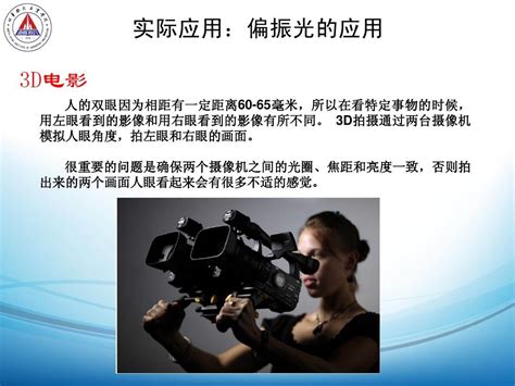 PPT 偏振光 word文档在线阅读与下载 无忧文档