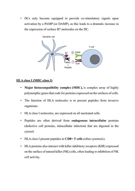 SOLUTION Antigen Presentation And Adaptive Immunity Principles Studypool