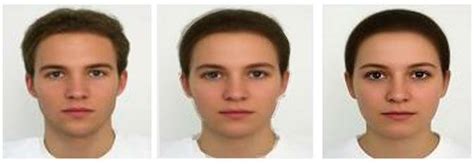 face morphing left source face image middle morphed face right