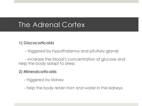 The Endocrine System Linda Lu And Veleda Tam Ppt Download