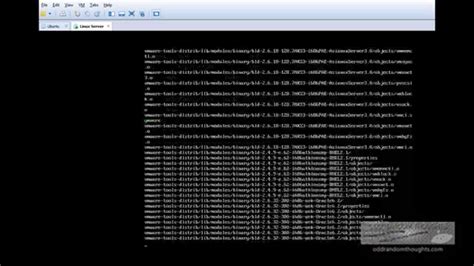 How To Install VMWare Tools Ubuntu Server Terminal YouTube
