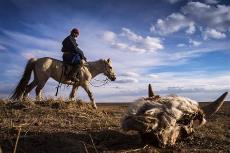 Mongolian Steppe Nomads