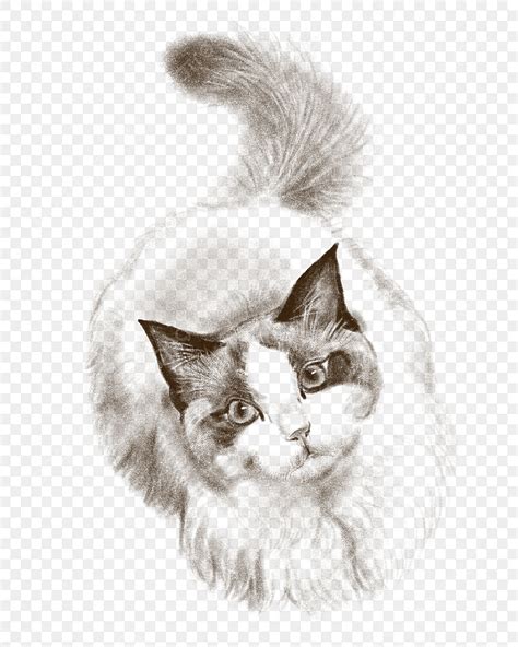 라인 그리기 Cat 귀여운 고양이 일러스트 만화 손으로 그린 라인 선 그리기 고양이 귀여운 선 그리기 고양이 만화 선