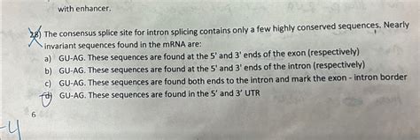 Solved With Enhancer The Consensus Splice Site For Intron