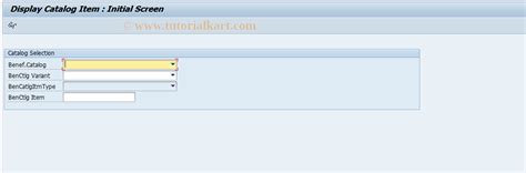 ICLSCT SAP Tcode Display Catalog Item Transaction Code