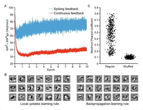approximation of backpropagation with local learning rules a plot of