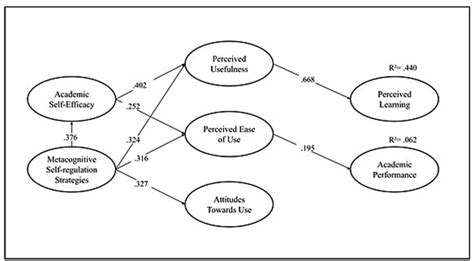 Frontiers Relationship Between Technology Acceptance Model Self Regulation Strategies And