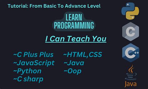 teach you python java c csharp coding and scripting by areeb 06 fiverr